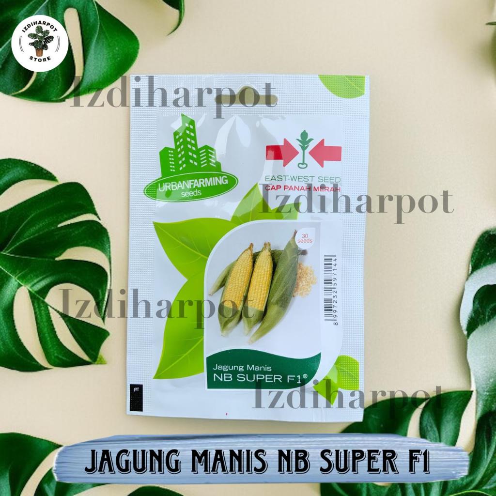 Jual Benih Bibit Jagung Manis NB Super F1 Cap Panah Merah - JAGUNG ...