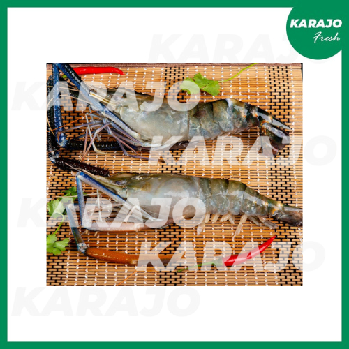 Jual Udang Galah Fresh 500g/1000g | Shopee Indonesia