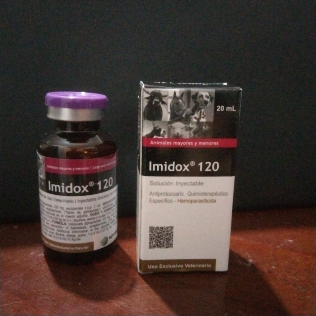Jual imidox 20ml | Shopee Indonesia