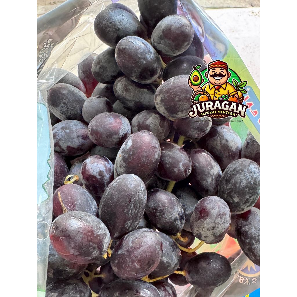 Jual Anggur Black Seedless Grapes Fresh Tanpa Biji / Buah Anggur ...