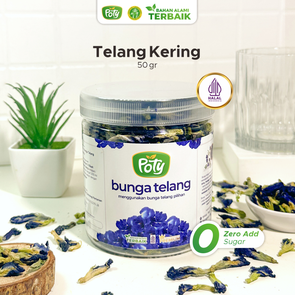 Jual Teh Bunga Telang Kering Organic 1 kg 500 gram Poty | Shopee Indonesia