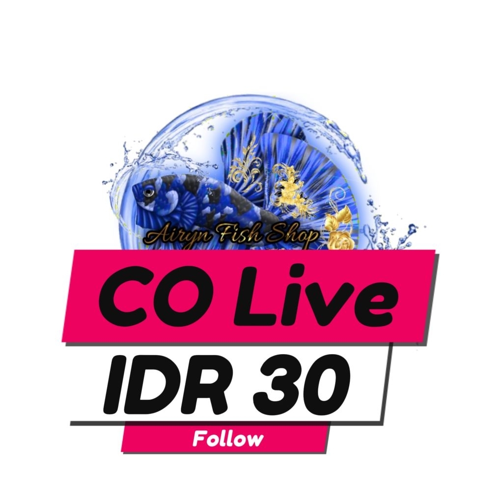 Jual IDR 30 Co Live | Shopee Indonesia