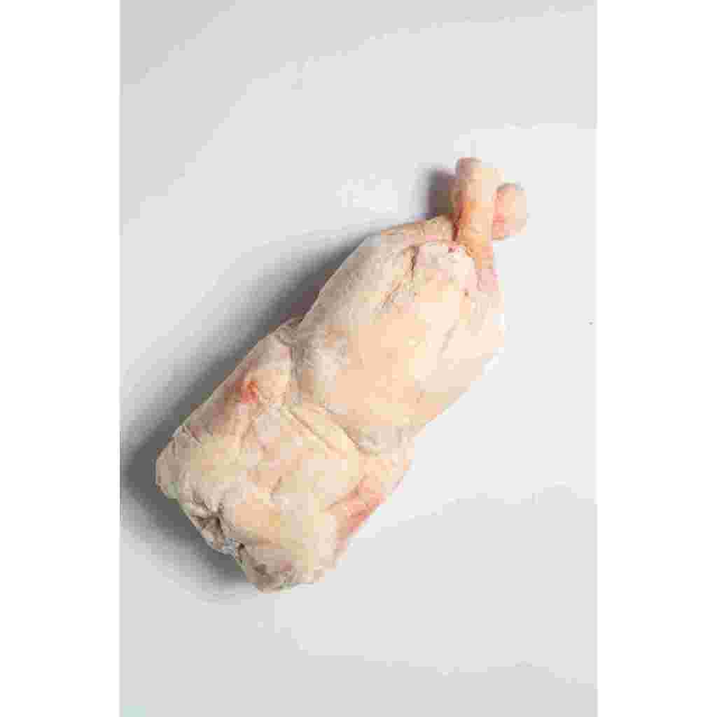 Jual ayam broiler frozen 1,2kg up/ayam frozen/ayam potong/ayam broiler ...