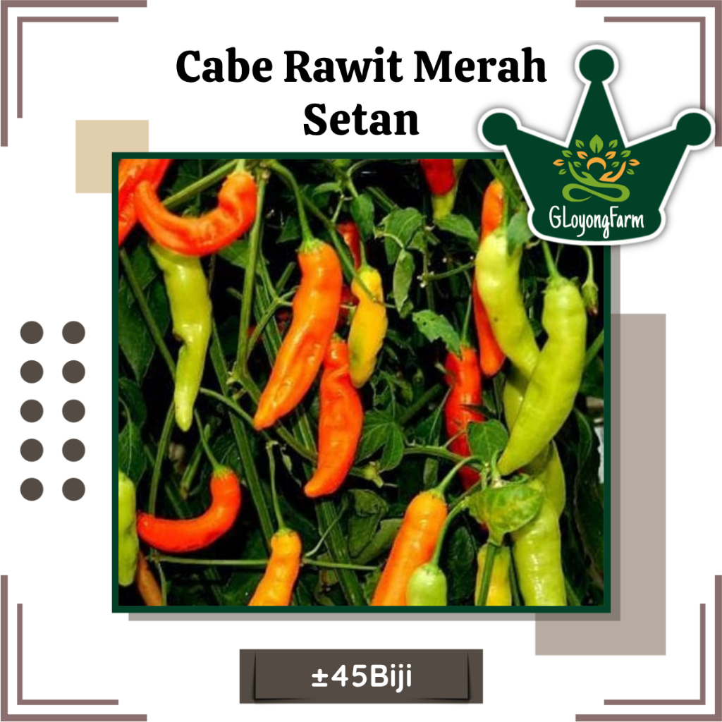 Jual Bibit Cabe Rawit Merah Setan - Benih Sayuran | Shopee Indonesia