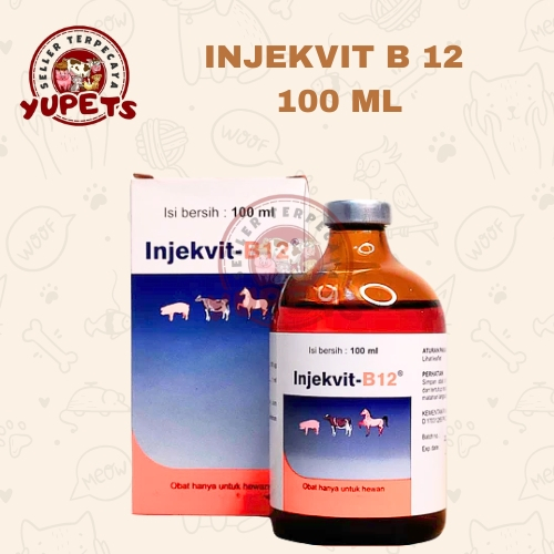 Jual Injekvit B12 100 ml - Vitamin B12 untuk Perbaiki Kondisi Tubuh ...