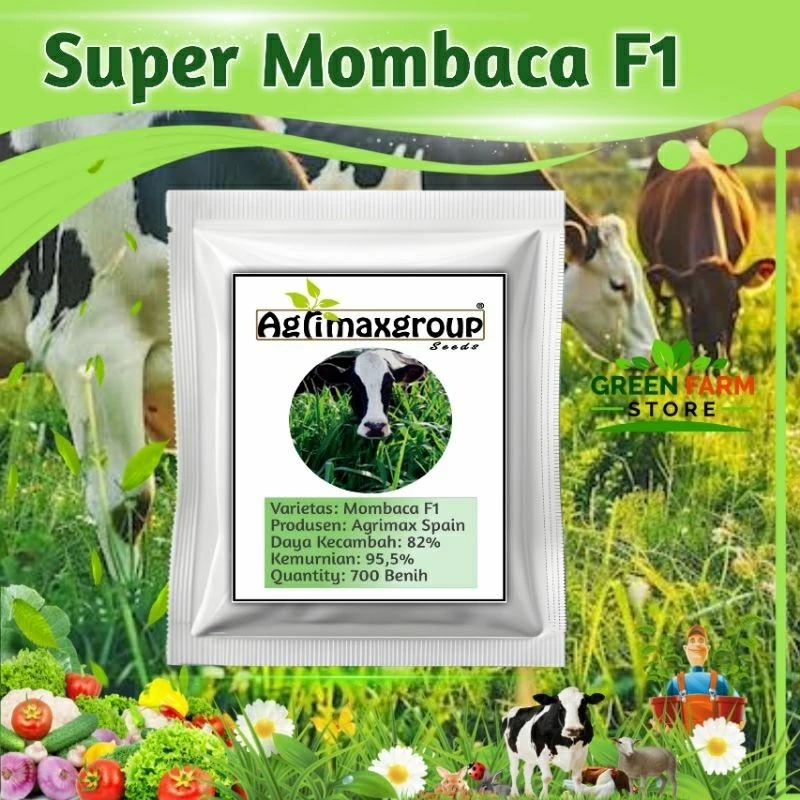 Jual Benih Rumput Agrimax Super Mombaca F1 Original Kemasan Repack ...