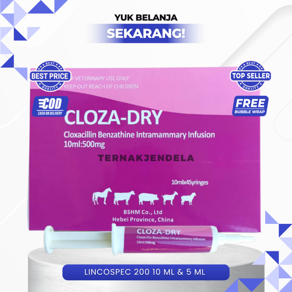 Jual CLOZA-DRY 1 SYRINGE- OBAT ANTI MASTITIS Ternak SAPI KAMBING DOMBA | Shopee Indonesia