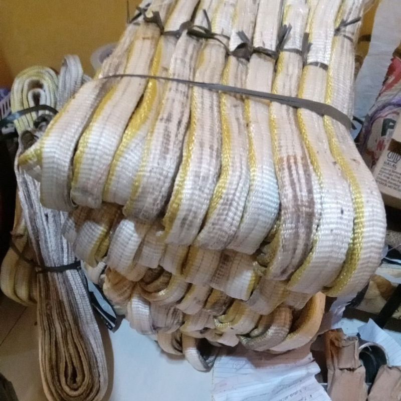 Jual Tali Sapi Dewasa (Jantan/Betina) Tali Sapi Serbaguna 4,3 Meter ...