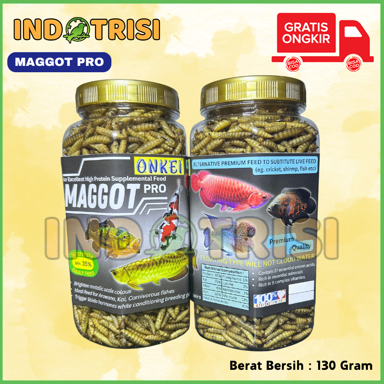 Jual Magot Maggot BSF Kering Grade A+ Premium Pakan Ikan Hias Koi Chana ...