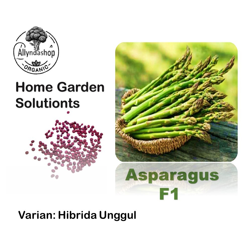 Jual Bibit Benih Sayuran Asparagus F1 Hibrida | Shopee Indonesia