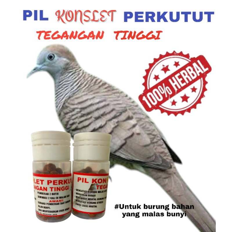 Jual PIL JAMU KONSLET PERKUTUT TEGANGAN TINGGI | Shopee Indonesia
