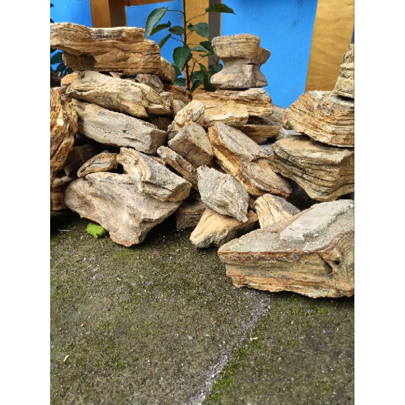 Jual Terlaris batu aquarium/batu aquascape bobing stone | Shopee Indonesia