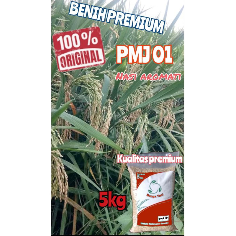 Jual Benih PREMIUM PMJ 01 5KG ORIGINAL | Shopee Indonesia