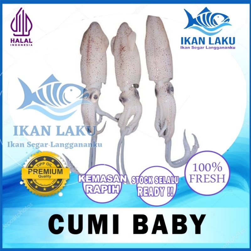 Jual Cumi Sero Segar 500gr — Cumi Baby Premium | Shopee Indonesia
