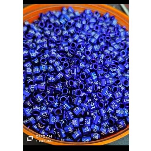 Jual RING BURUNG SOGON FINCH PLECI KONIN FIGHTER BLACKTROAD EMPRIT ...