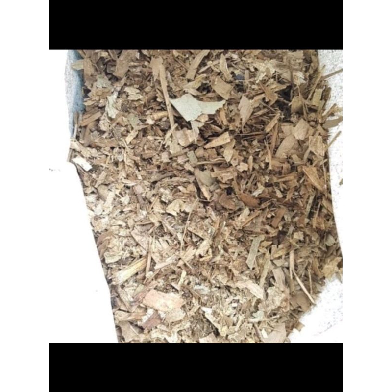 Jual daun bambu kering per 1kg | Shopee Indonesia