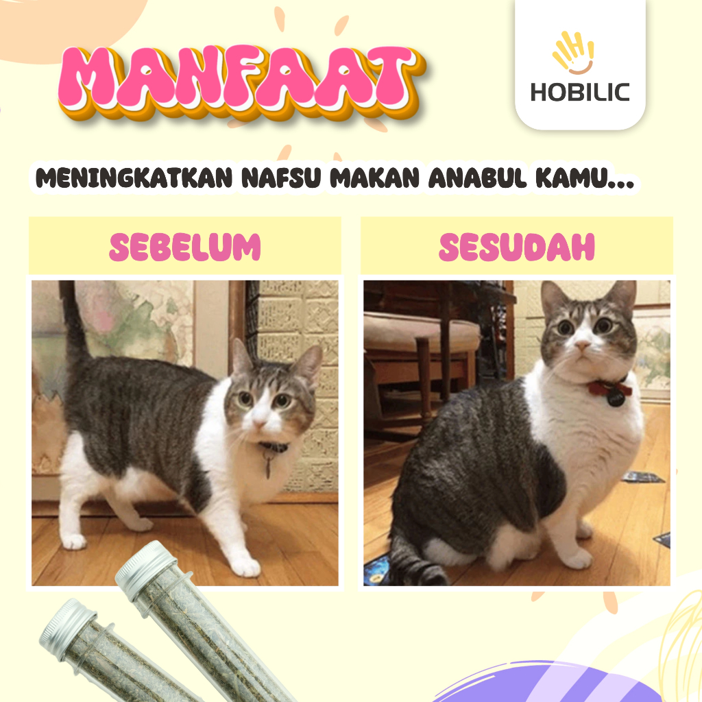 Jual Hobilic Catnip Bubuk Botol Snack Kucing Daun Catnip Serbuk Natural ... Jual Hobilic Catnip Bubuk Botol Snack Kucing Daun Catnip Serbuk Natural ...