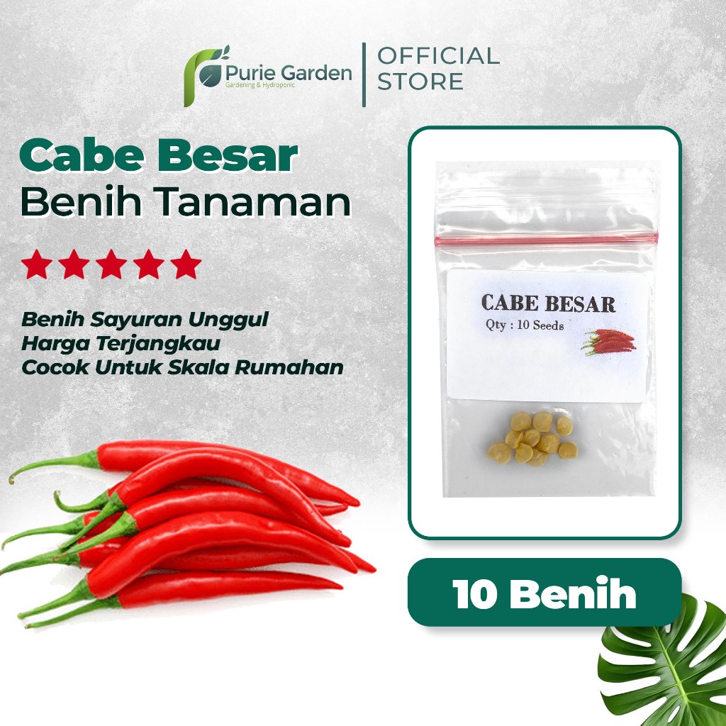 Jual Benih Bibit Cabe Besar 10 Benih | Shopee Indonesia