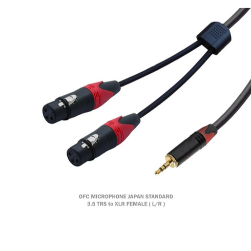 Jual kabel jack audio 2 canon female to hp / jack xlr 2 to hp | Shopee ...