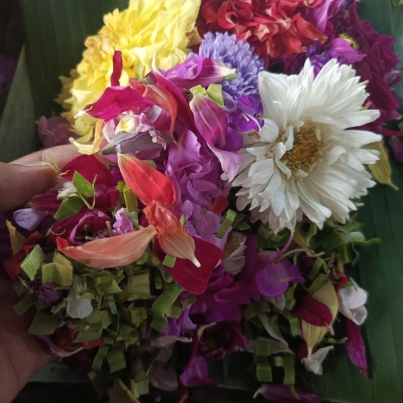 Jual Bunga Ziarah Kuburan Bunga Jarah Bunga Tabur Murah Segar Harum ...