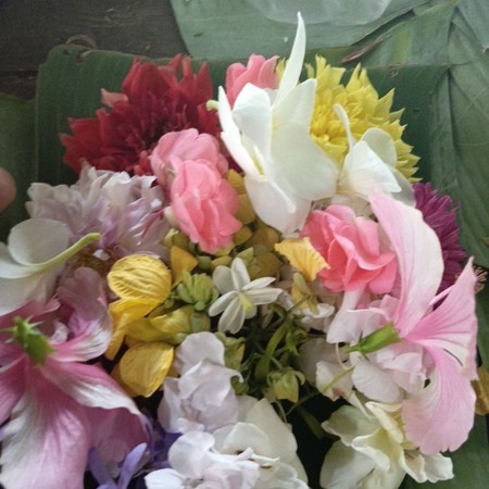 Jual Paket Ramadhan Bunga 12 Macam/Jenis Segar Harum Bisa Instan Gojek ...