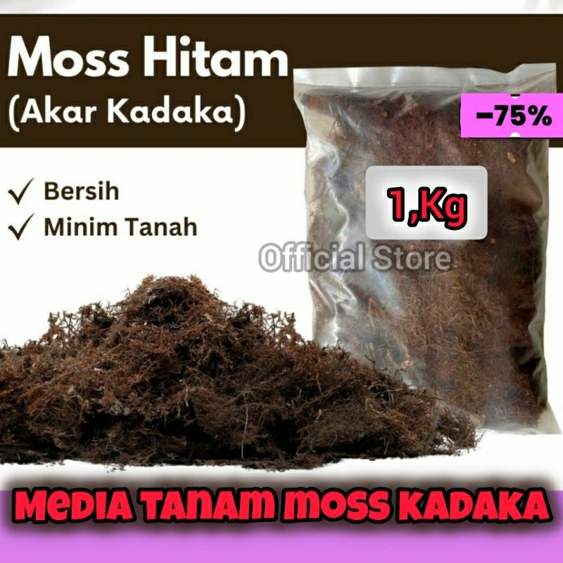 Jual COD - Media Tanam Mosh Hitam 1-Kg / Moss Kadaka / Moss Hitam / Mosh Kadaka / Mosh Hitam 1 ...