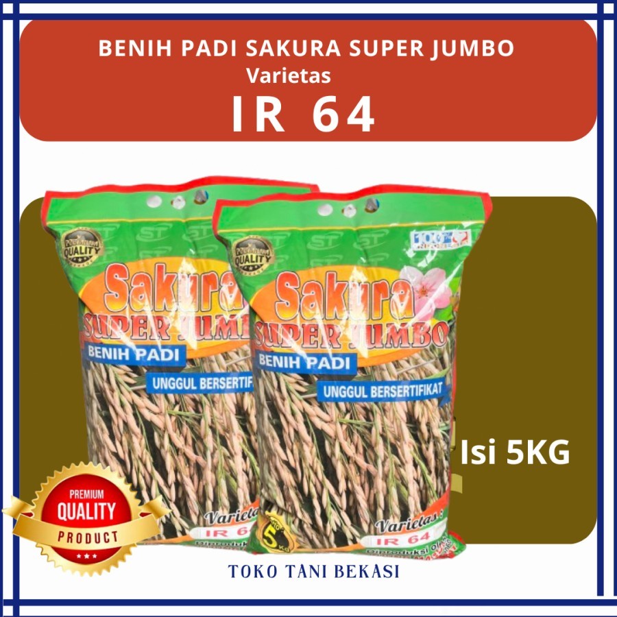Jual benih padi sakura super jumbo quality superior varietas ir 64 ...
