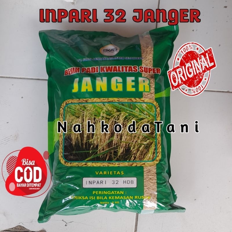 Jual Benih padi Inpari 32 JANGER 5kg | Shopee Indonesia