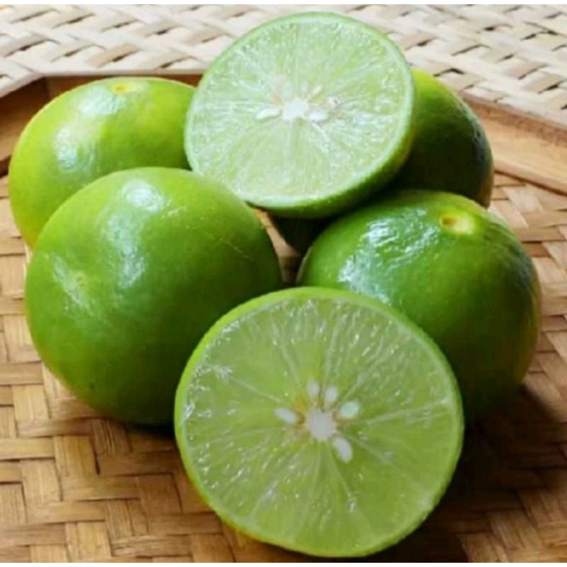 Jual Jeruk Nipis Seger 1 Kg | Shopee Indonesia