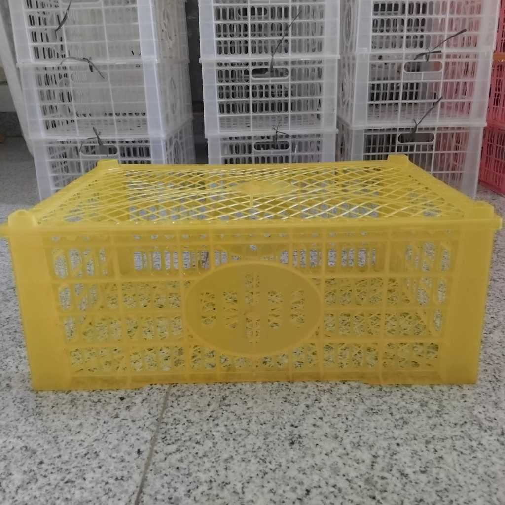 Jual Keranjang Kosong Bekas Buah Ukuran 41 x 28 x 16 cm KUNING | Shopee ...