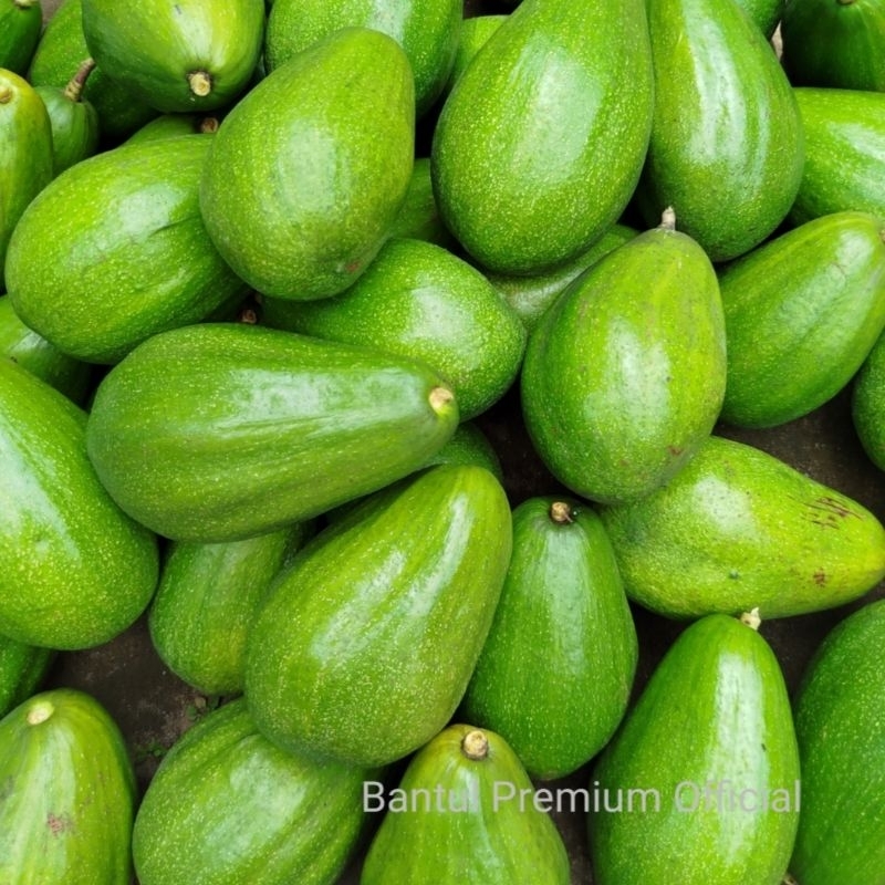 Jual Alpukat Aligator Premium dan Alpukat Super Mentega 1 Kg /Dikirim ...