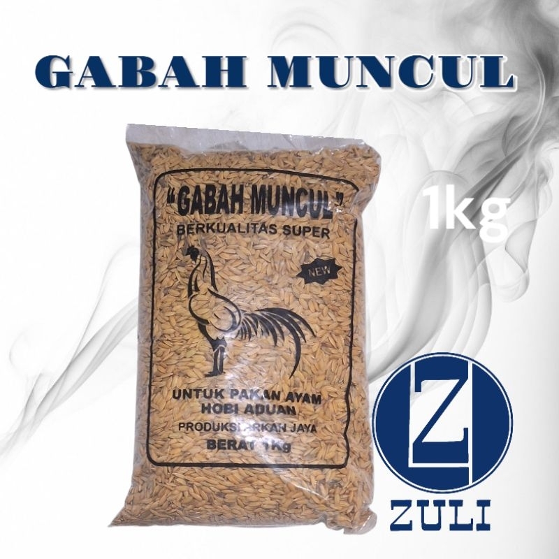 Jual Gabah Muncul Kemasan 1kg Pakan Ayam Hobi Aduan | Shopee Indonesia