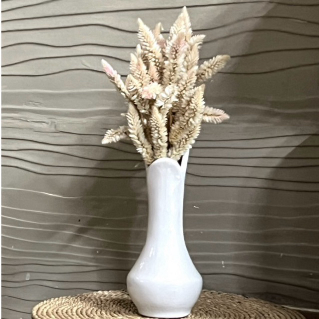 Jual Bunga Kering boroco Baroco Dried Flower Bunga Kering 1 ikat isi 15 ...