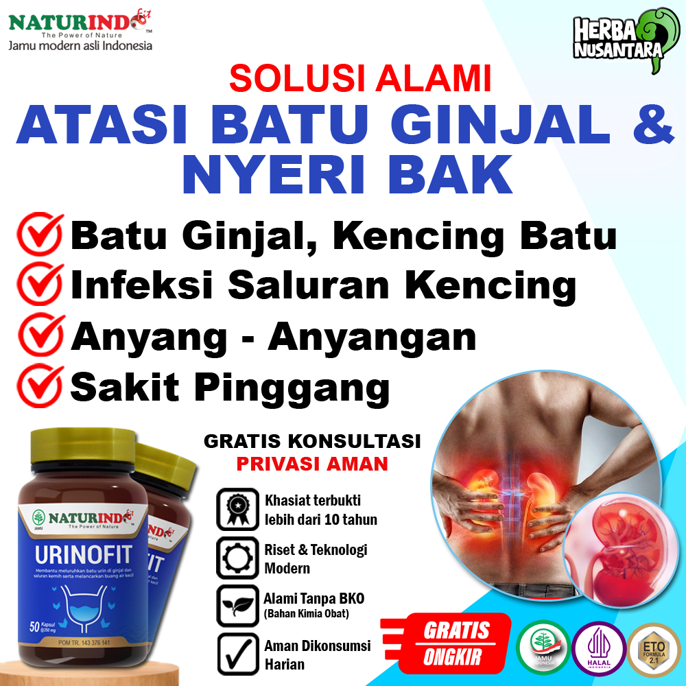 Jual Obat Herbal Batu Ginjal Paling Ampuh Tanpa Operasi Dan Pinggang ...