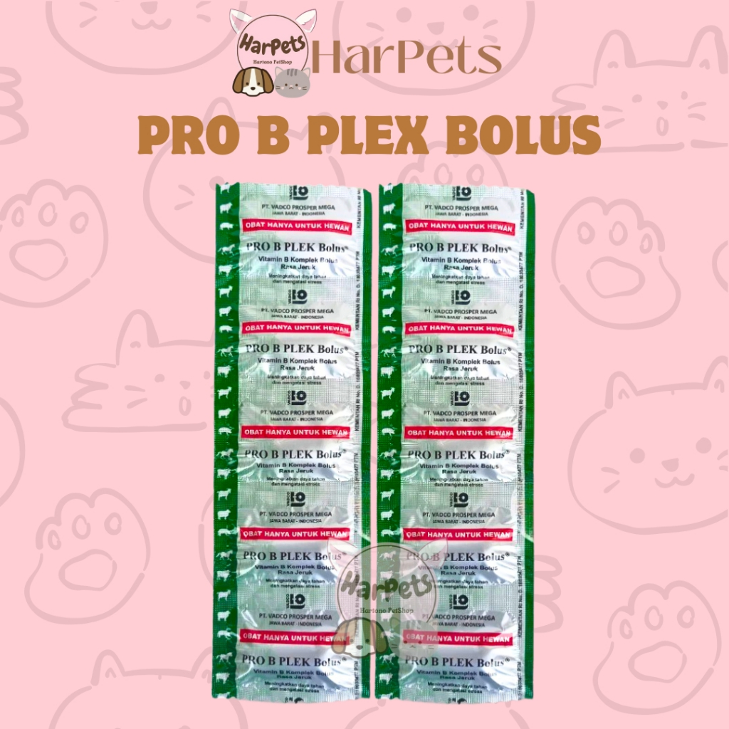 Jual PRO B PLEK BOLUS 1 BOLUS VADCO - Vitamin B kompleks RASA JERUK ...
