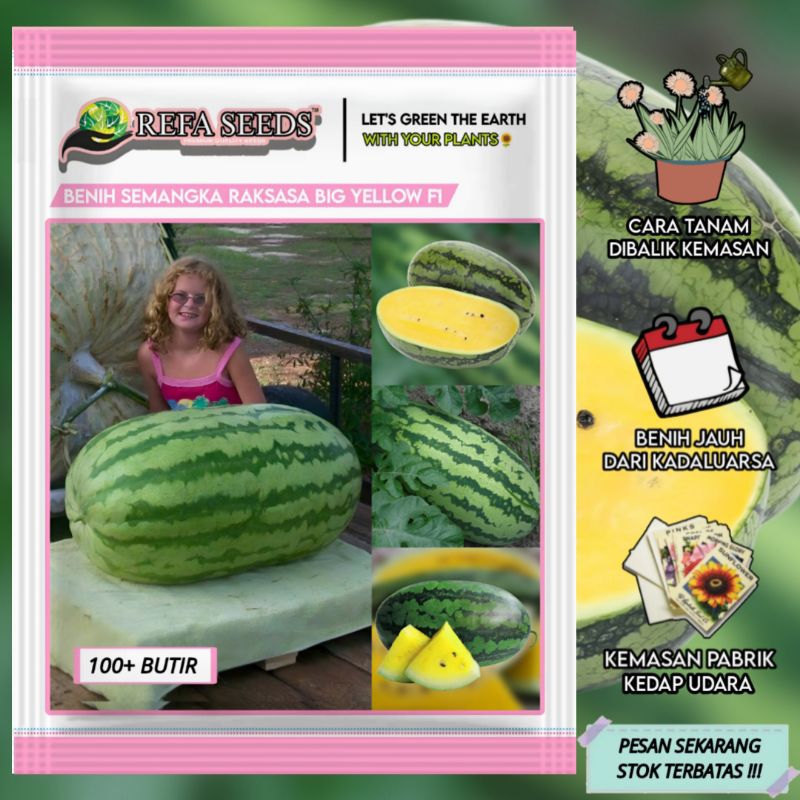 Jual REFA (100 Butir) Benih Semangka Raksasa Big Yellow F1 Kemasan Pabrik / Benih semangka ...