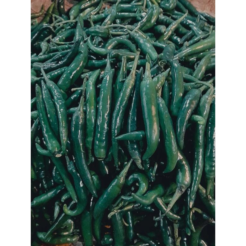 Jual Cabe ijo besar 250gr/500gr | Shopee Indonesia