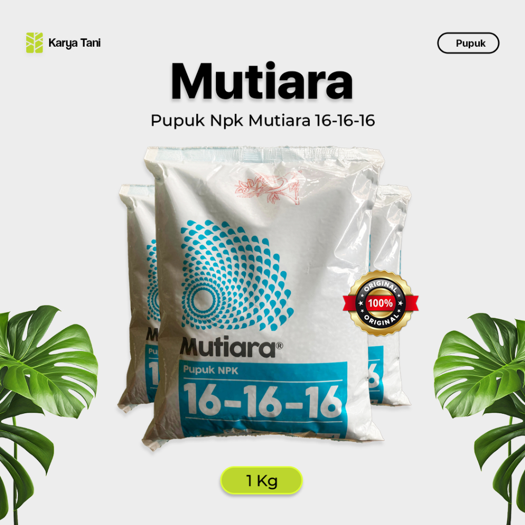 Jual PUPUK NPK MUTIARA 16 16 16 MEROKE 1 KG | Shopee Indonesia