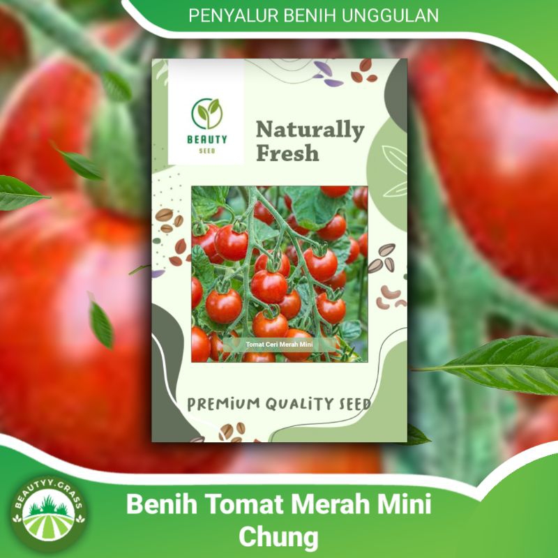 Jual 25 Benih Tomat Cherry Merah Mini Chung Bibit Chery Tanaman Hias ...