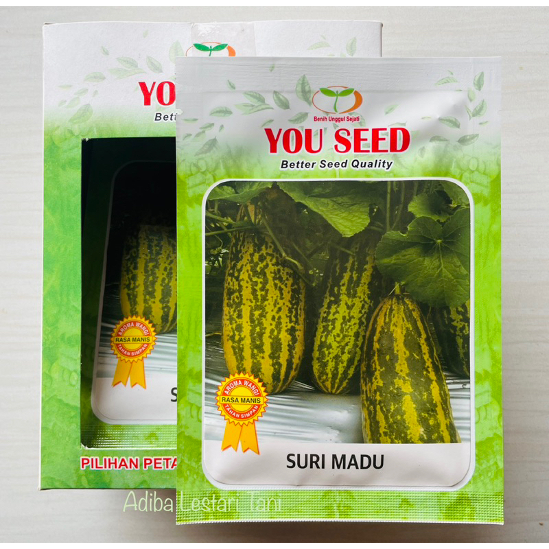 Jual Benih Timun Suri / Timun Mas Suri Madu 10 Gram - Timun Suri Hijau Lurik Cap You Seed ...