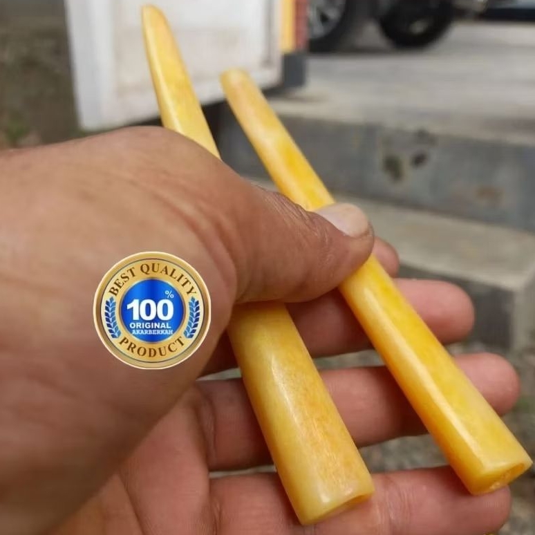 Jual ONCE PIPA PIPO TULANG AFRIKA ASLI 100% TULANG ORIGINAL | Shopee ...