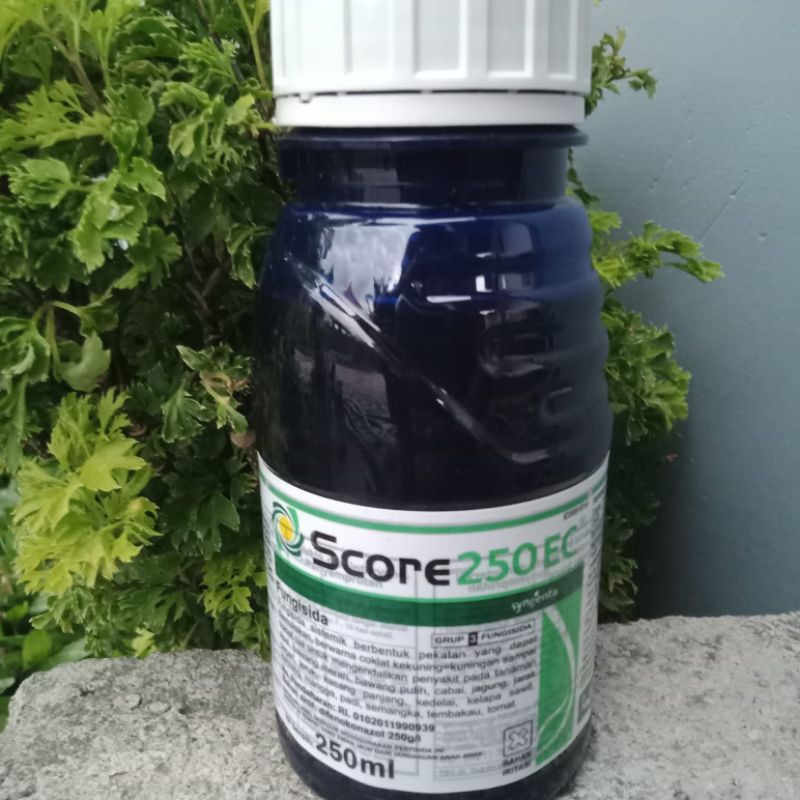Jual Score 250EC 250ml - Fungisida | Shopee Indonesia