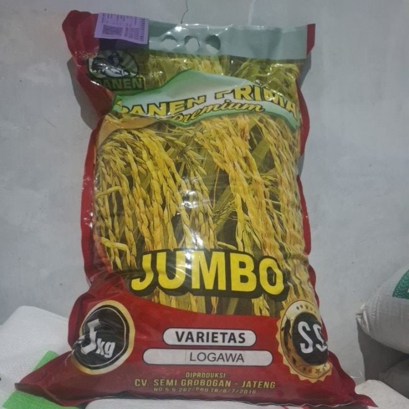 Jual Benih Padi unggul LOGAWA JUMBO premium bersertifikat dari Panen ...