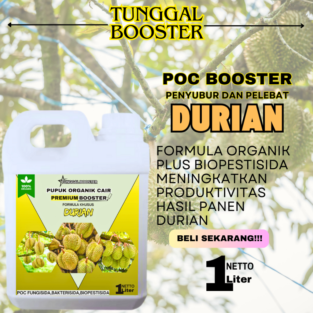 Jual Pupuk Organik Cair Tanaman Durian Premium 1Liter-Booster Pelebat dan perangsang Buah Durian ...