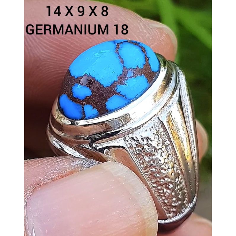 Jual pirus mesir biru panci 45 | Shopee Indonesia