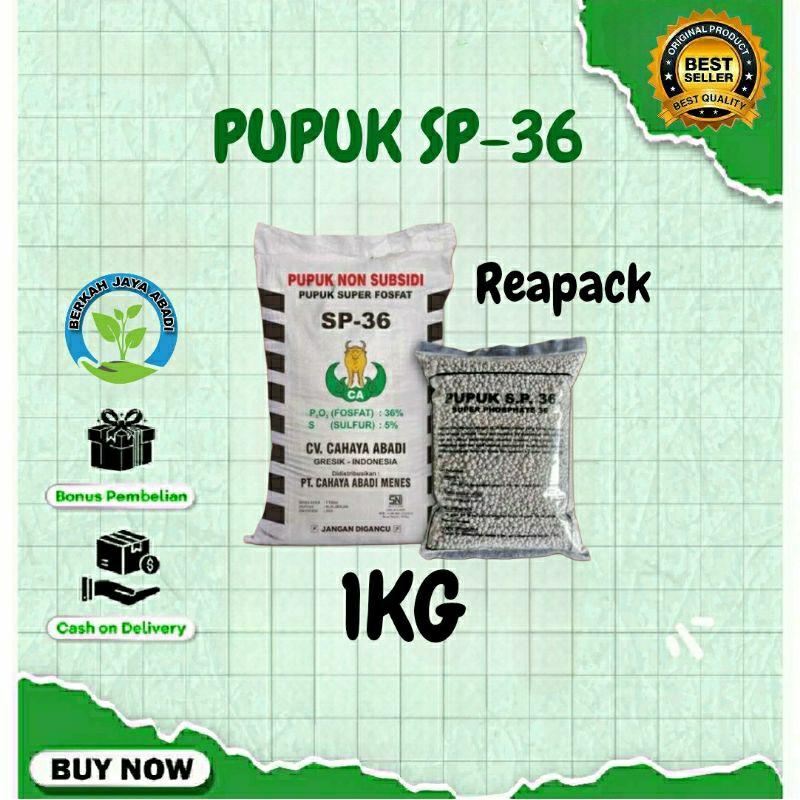 Jual Pupuk Sp-36 Kemasan Reapack 1kg Penyubur Tanaman & Pembenah Tanah ...