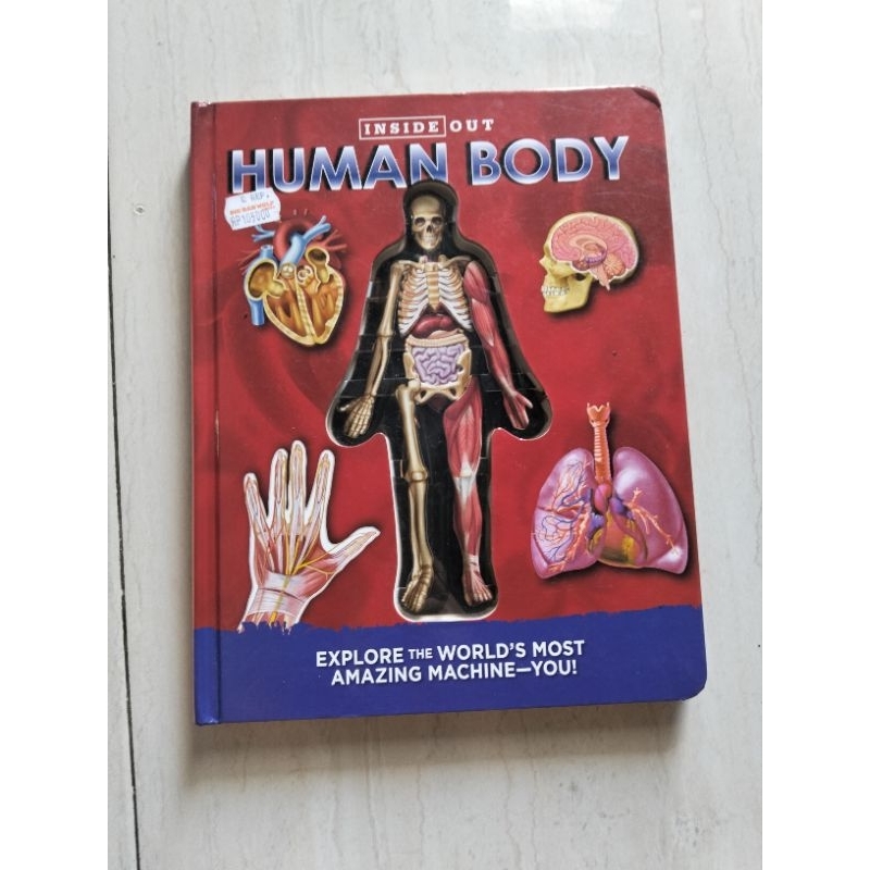 Jual Human Body | Shopee Indonesia