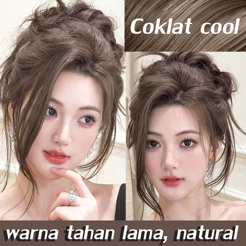 Jual 【Sangat enjoy】 STYLE FIT Cat rambut Coklat cool 200ML cat rambut ...