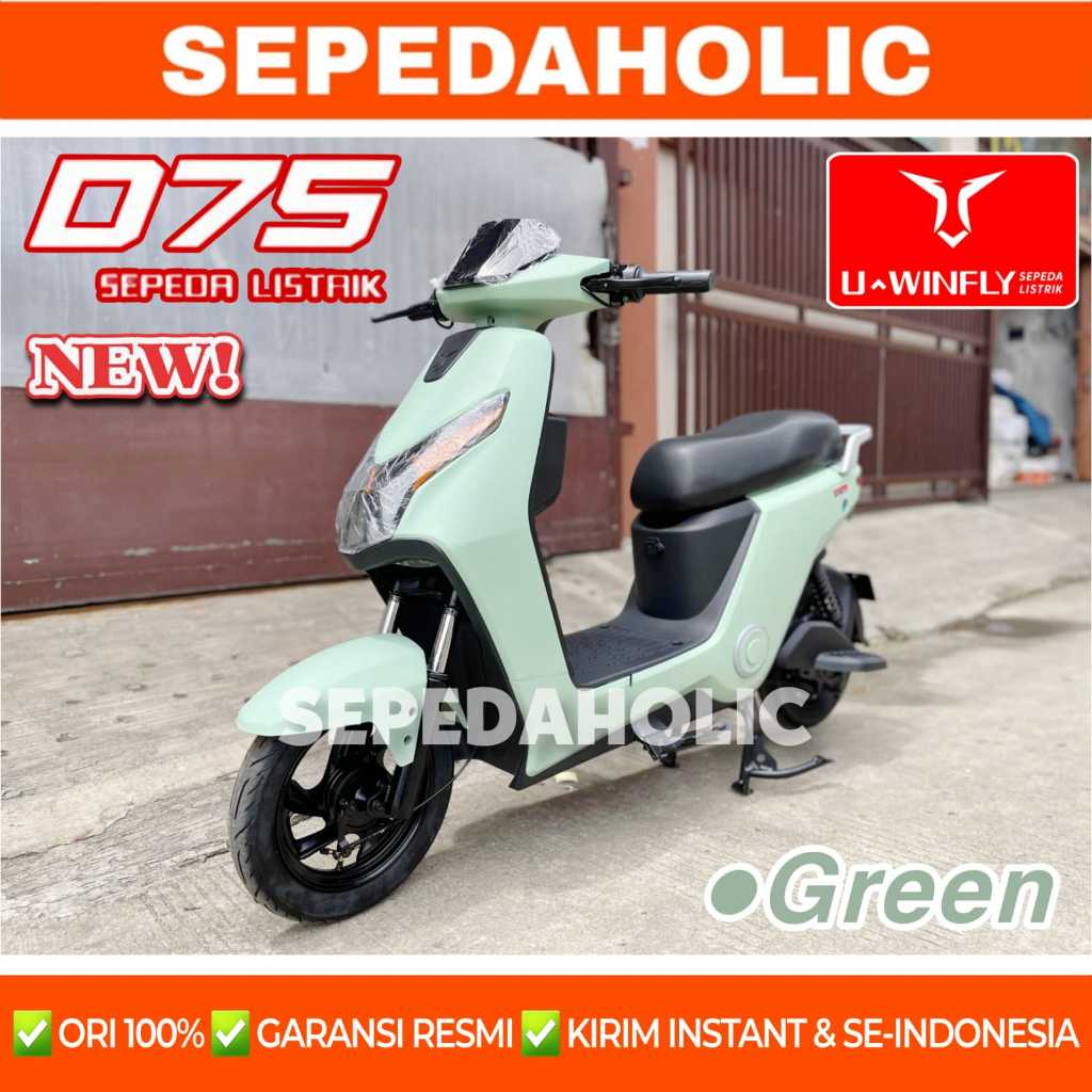 Jual [FLASH SALE] Sepeda Listrik UWINFLY D75 450 Watt Electric E Bike | Shopee Indonesia