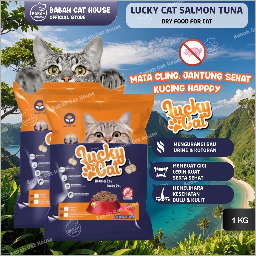 Jual LUCKY CAT 1KG Makanan Kucing Lokal Kering Dewasa Tuna Salmon 1 ...